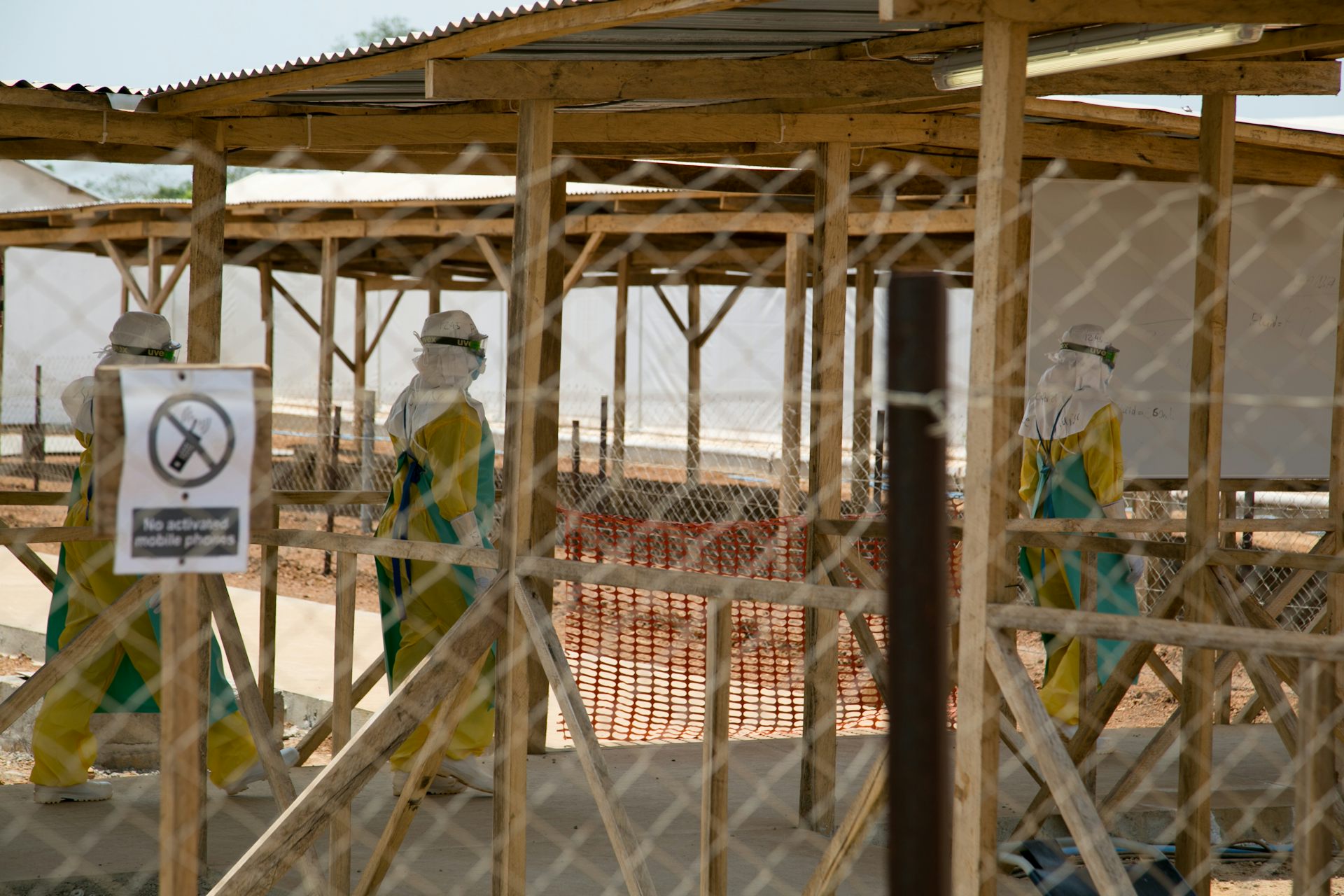 How we developed a cheap, accurate, on-the-spot test for Ebola