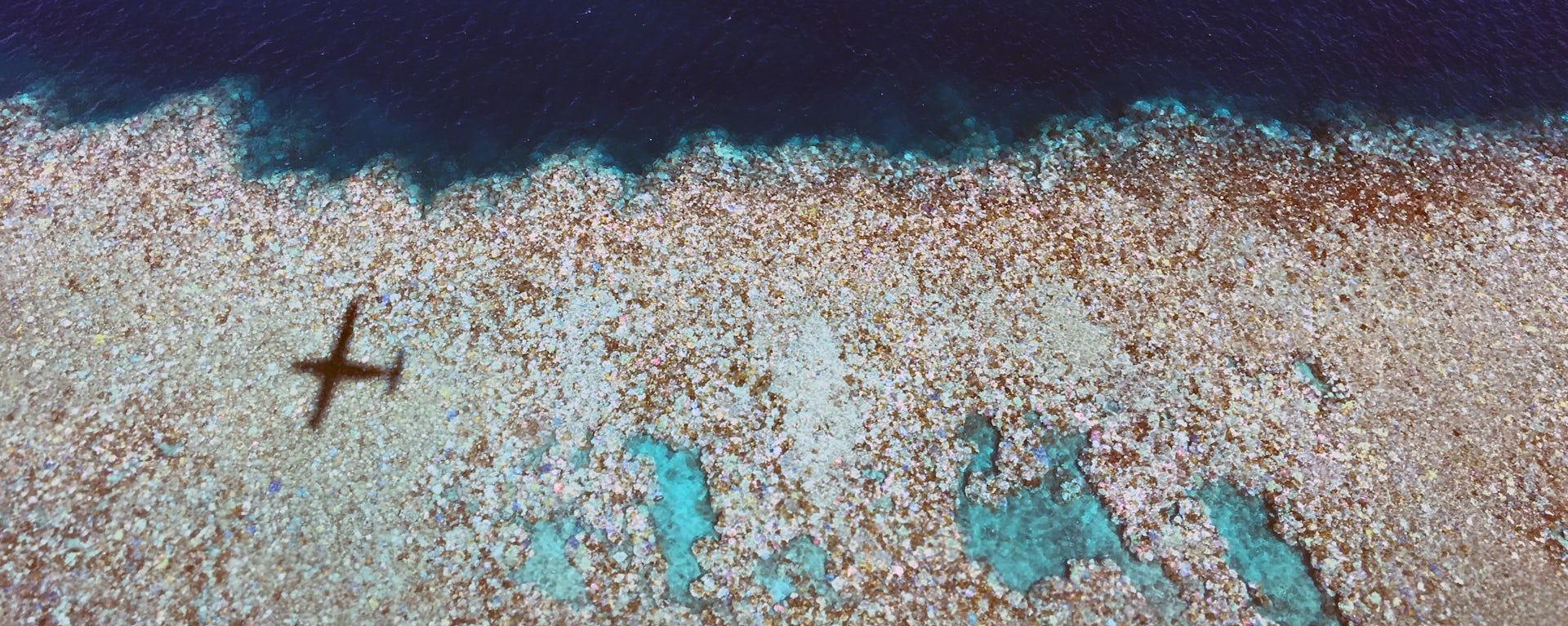 What's the economic value of the Great Barrier Reef? It's priceless