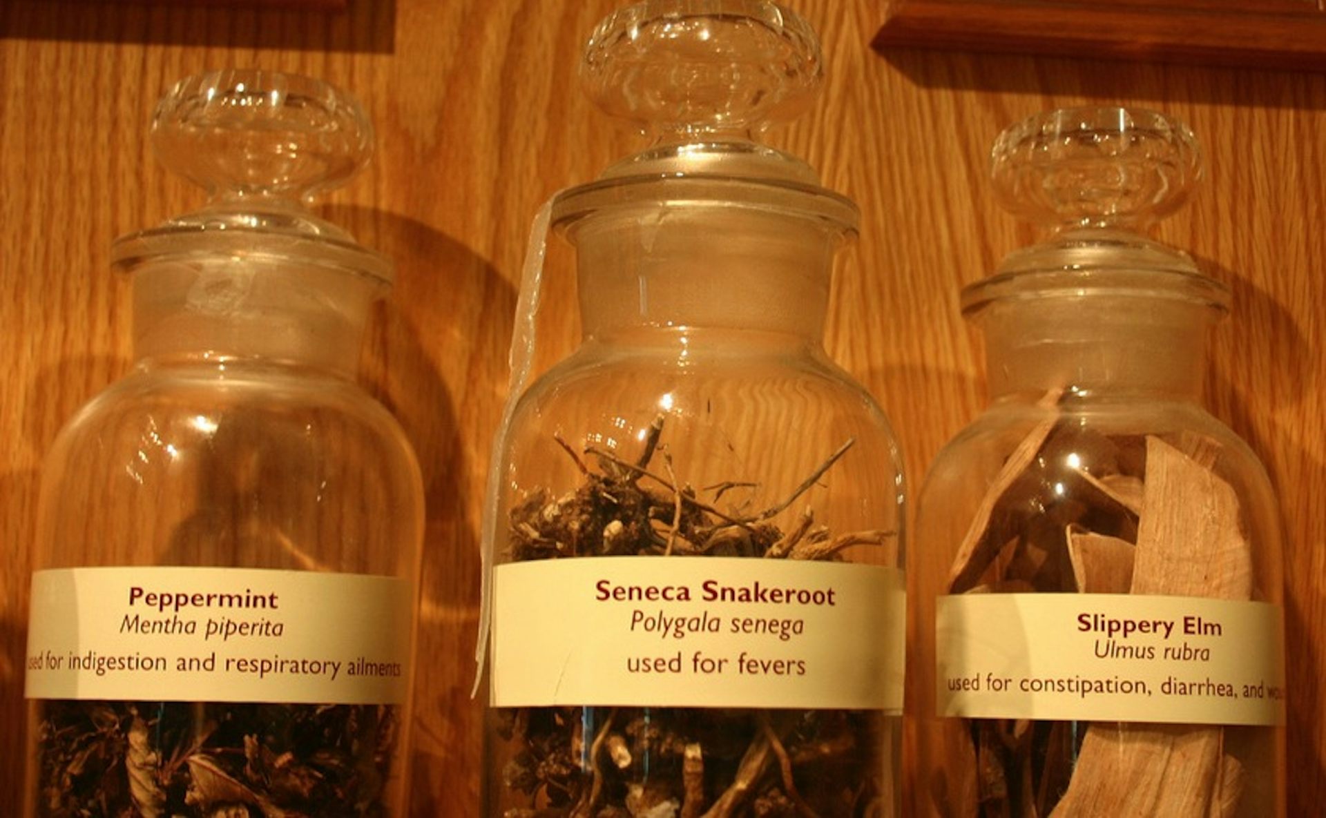 Weekly Dose: Digoxin, the heart medicine that may have given us Van ...