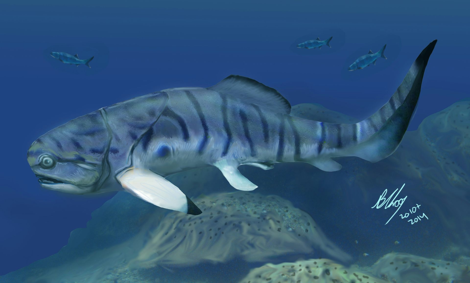 Chew on this: we finally know how our jaws evolved